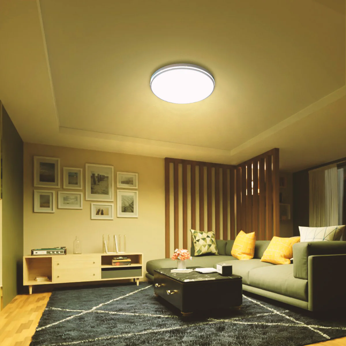 Philips Dome Ceiling Light - kaiyaan